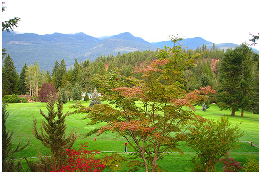 Shadow Mountain Cabins | Riondel — Kootenay Lake BC